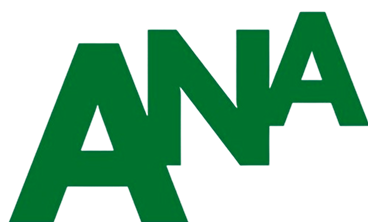 The Brandtech Group